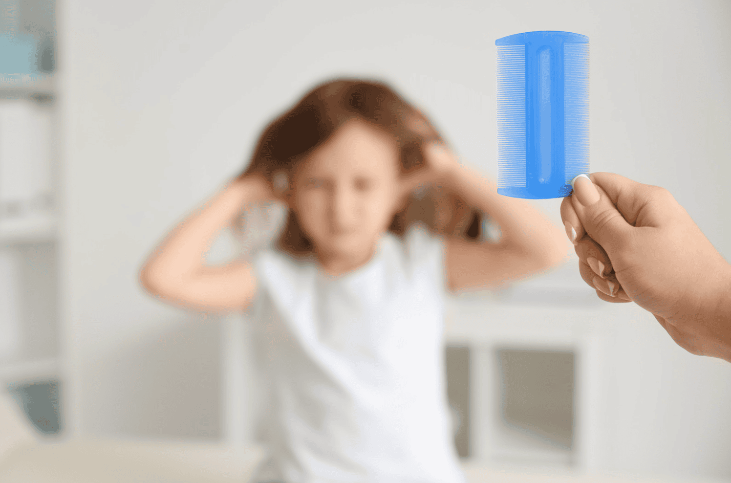 Lice Be Gone: The Ultimate Head Lice Trivia Quiz! - Lice Free Clinics